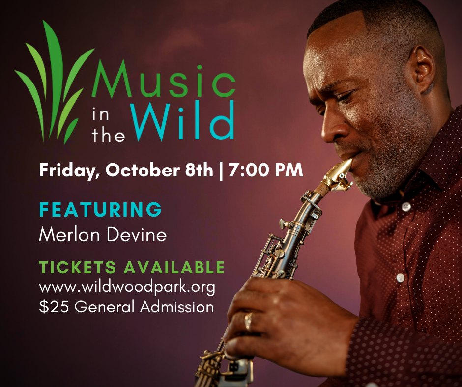 Wildwood Park for the Arts